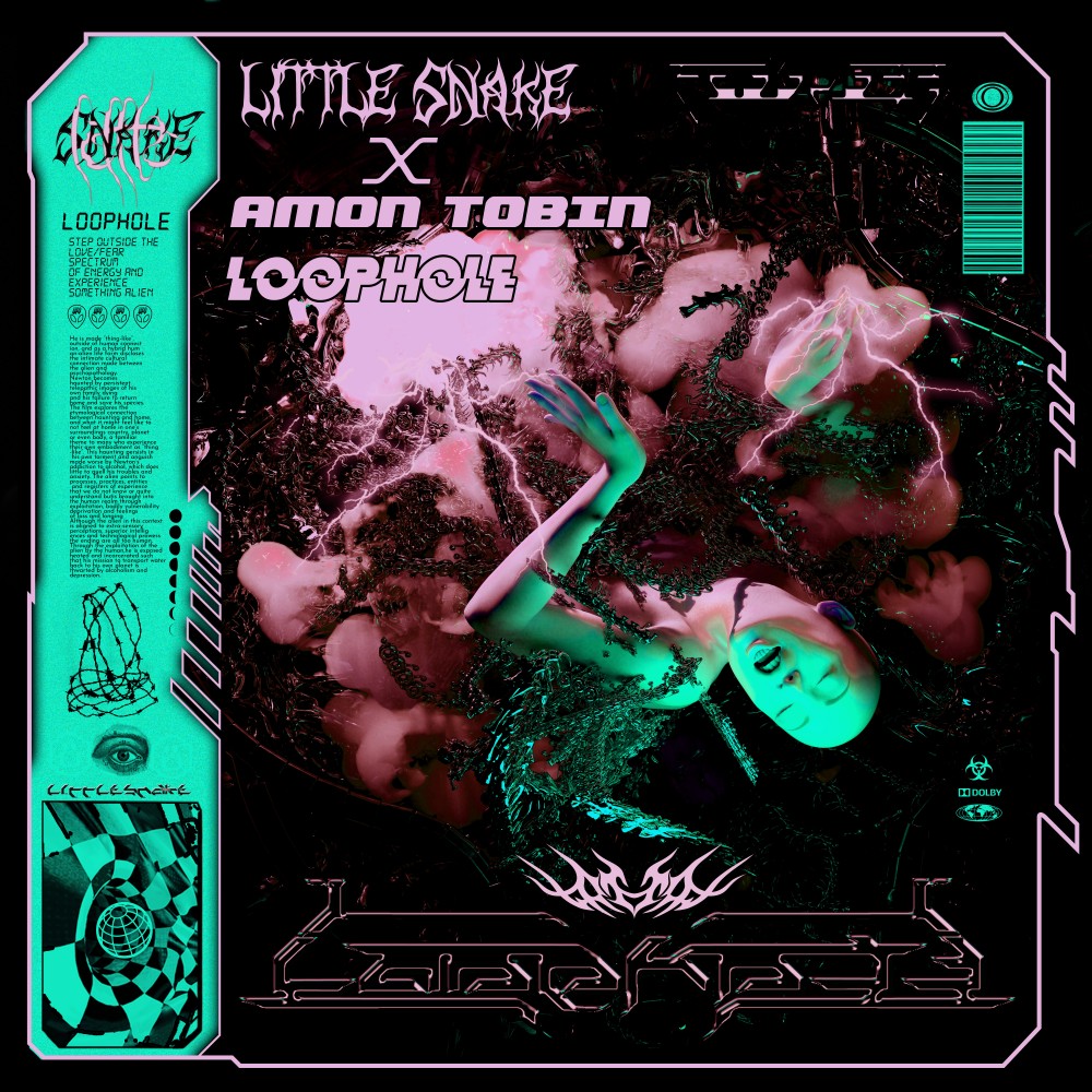 LITTLE SNAKE AND AMON TOBIN – “Loophole” (Single) | Brainfeeder